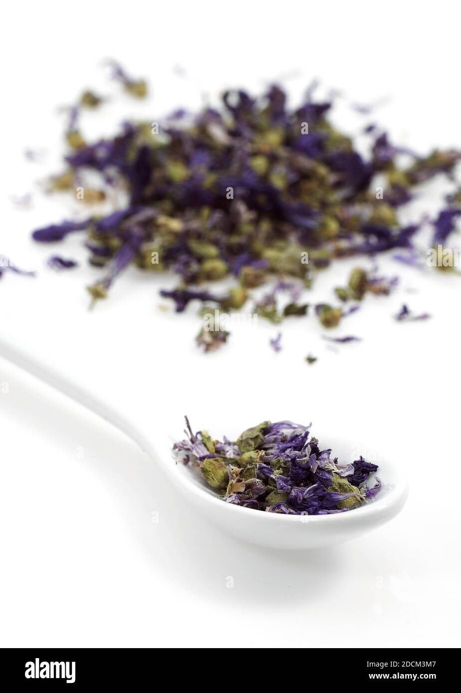 DRY MALLOW FLOWER FOR INFUSION Stock Photo - Alamy