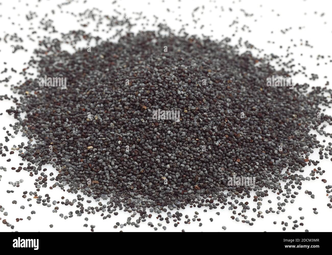 POPPY SEEDS papaver sp AGAINST WHITE BACKGROUND Stock Photo - Alamy