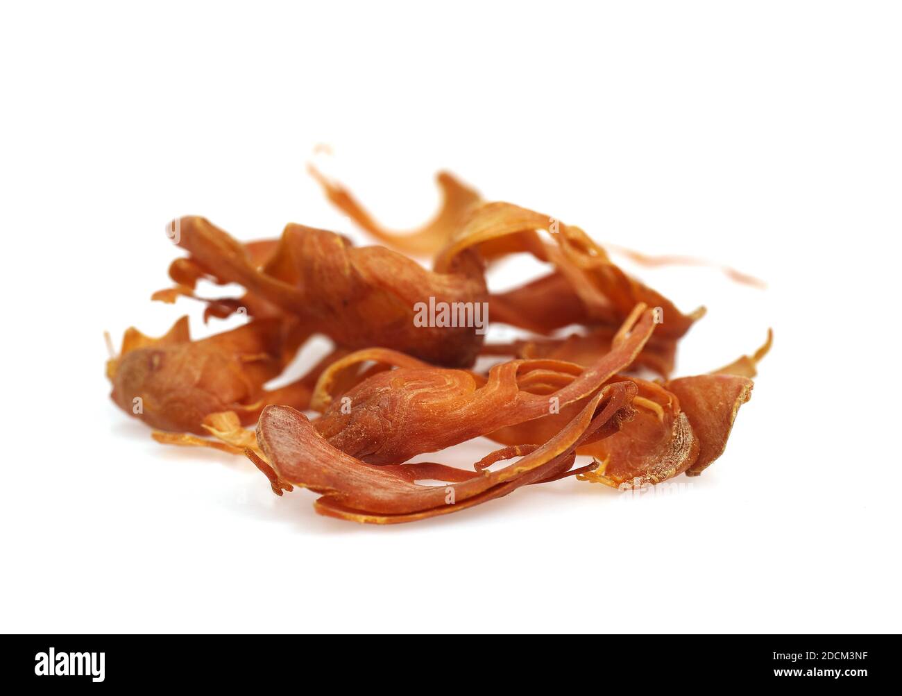 DRIED MACE FORM NUTMEG myristica fragrans Stock Photo - Alamy