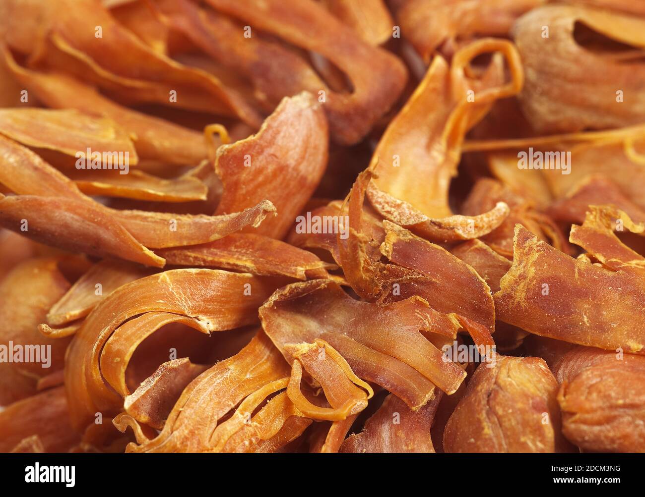 DRIED MACE FORM NUTMEG myristica fragrans Stock Photo - Alamy