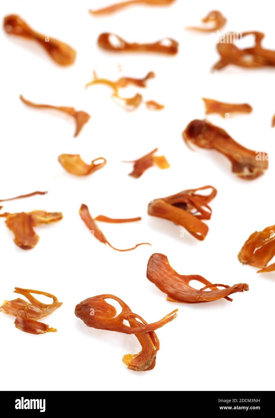 DRIED MACE FORM NUTMEG myristica fragrans Stock Photo - Alamy