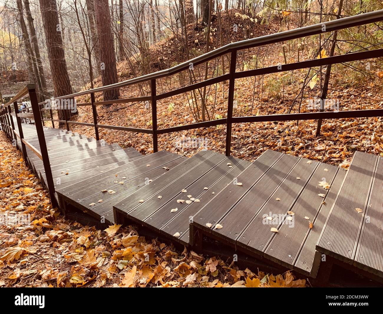 Wooden stairs in a park covered with autumn leaves Stock Photo - Alamy