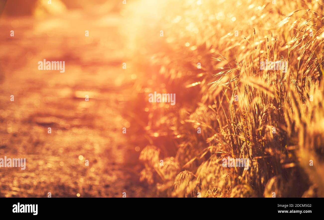 Gardening weather exposure hi-res stock photography and images - Alamy