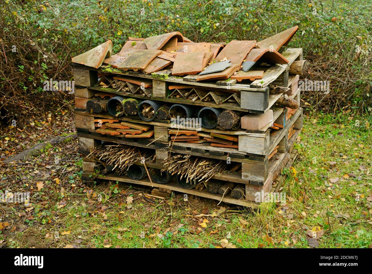 A bug hotel made from recycled Pallets Stock Photo - Alamy
