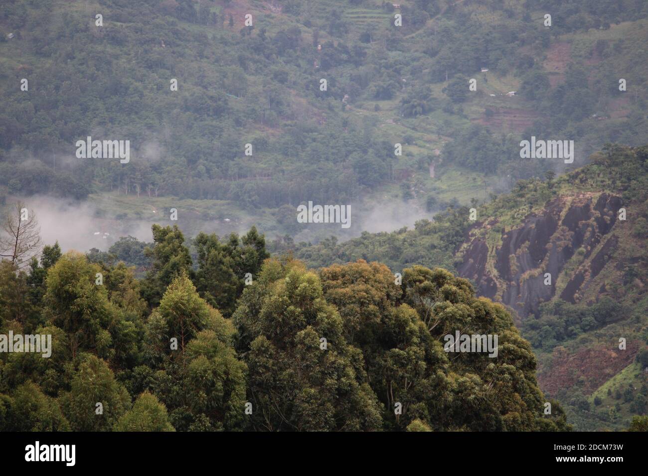scenic cityscape of kodaikanal hill station, the famous hill station is ...