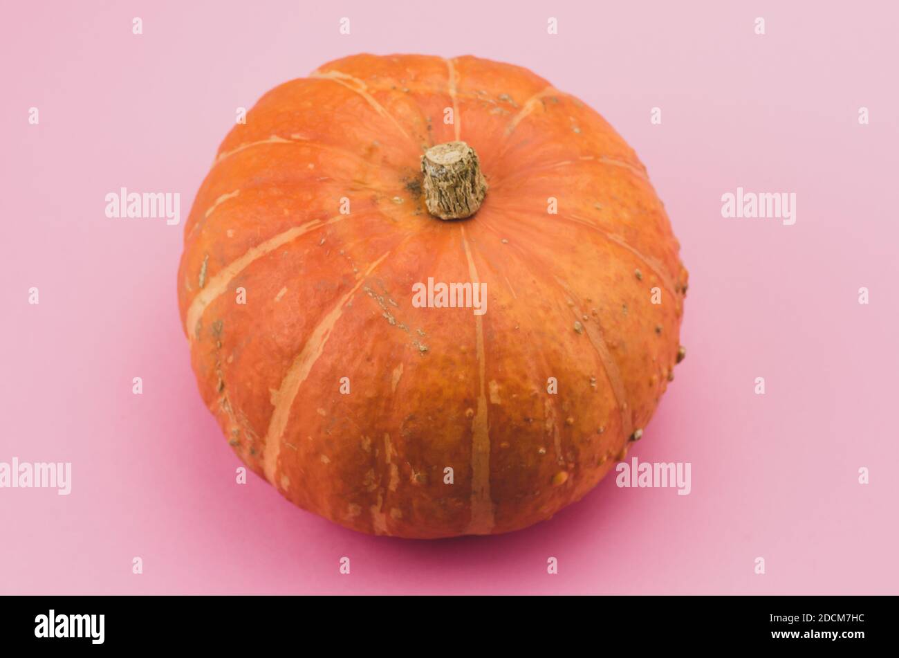 Top view pumpkin vegetable hi-res stock photography and images - Alamy