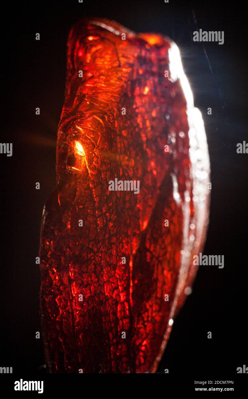 Macro close-up of rough raw amber stone isolated on black background ...