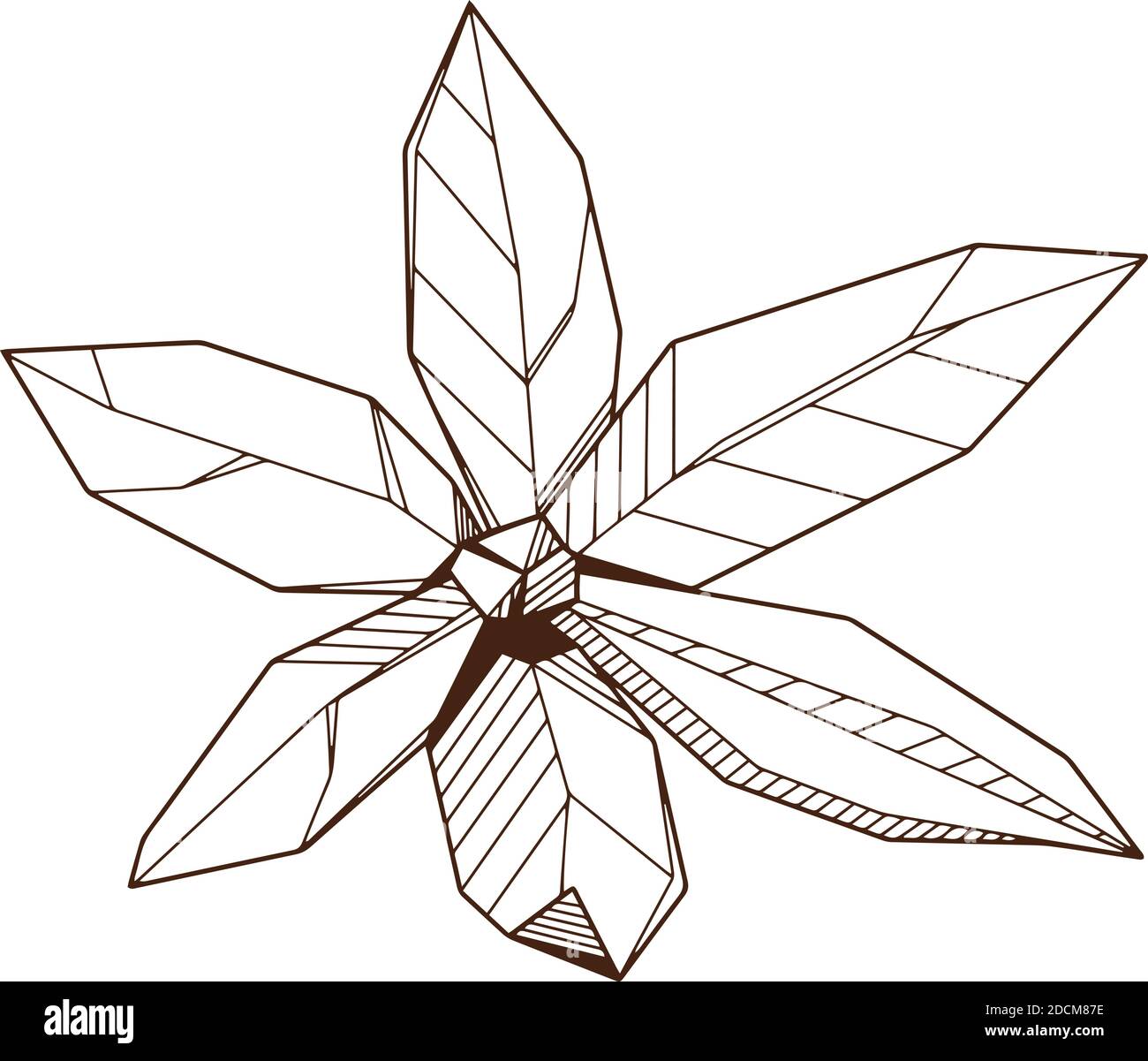 Outlined hand drawind geometrical blossoming flower, Ylang-Ilang line ...