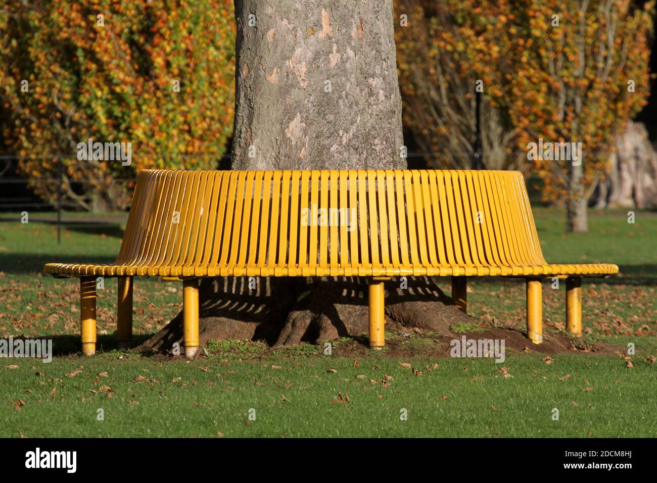 Metal bench around a tree hi-res stock photography and images - Alamy
