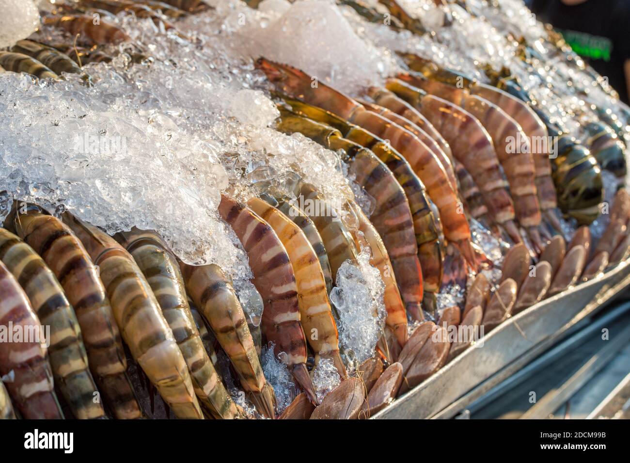 Tiger prawn barbeque served at the night market. The famous night ...