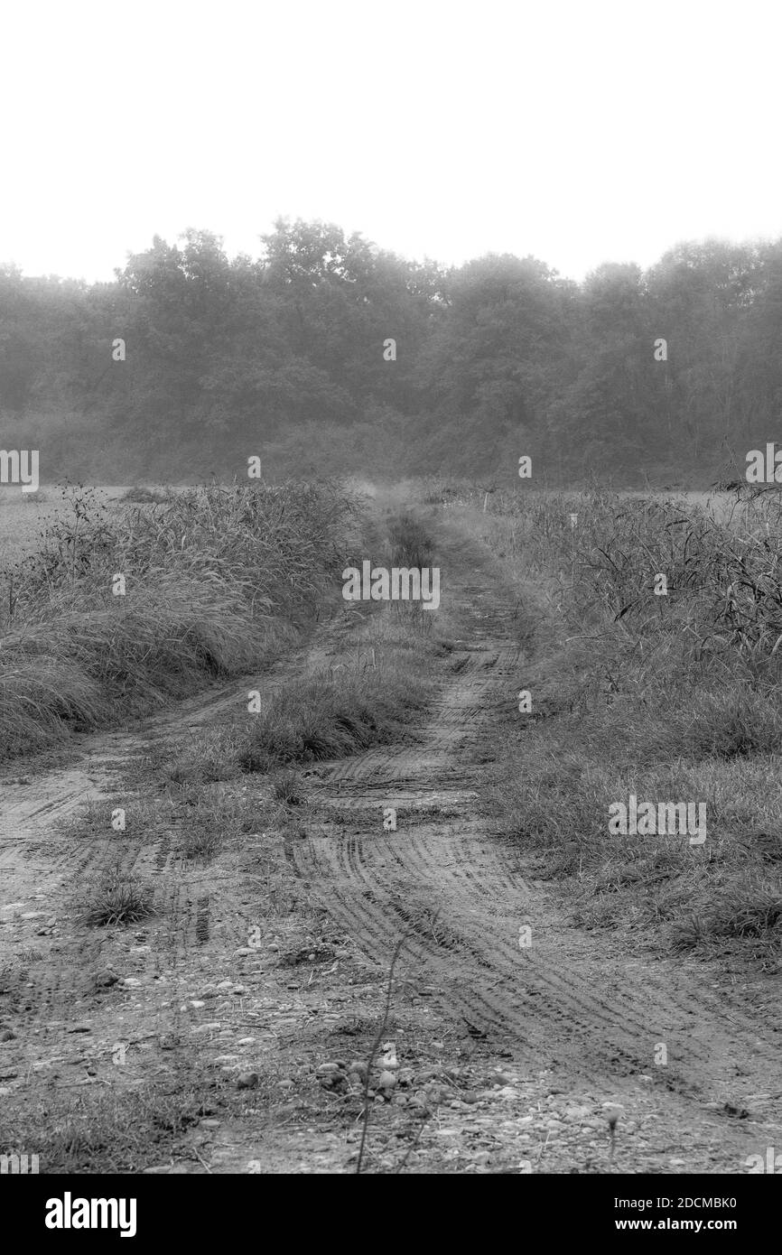 Asphalt street in rural Black and White Stock Photos & Images - Alamy
