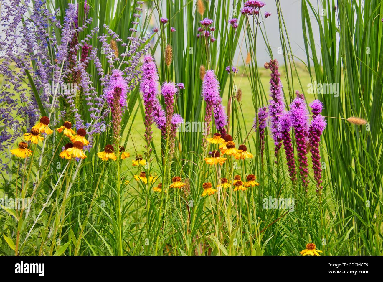 Floral flora hi-res stock photography and images - Alamy