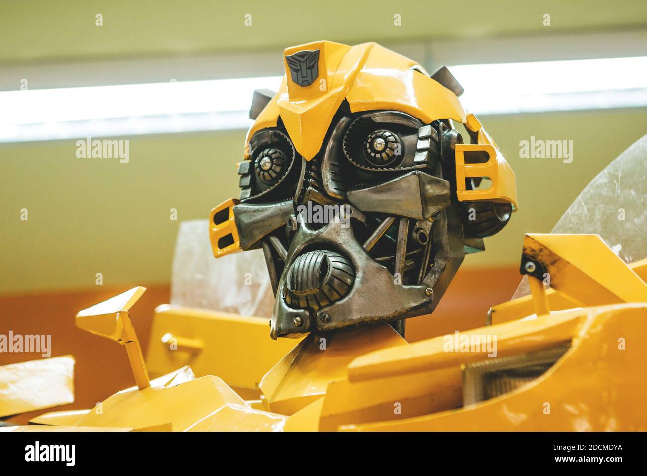 Bumblebee Transformer Face