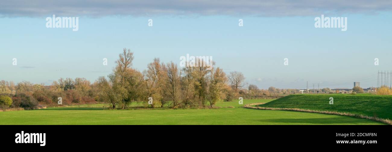 Dutch Nature scene photographed during the end of the fall Stock Photo ...