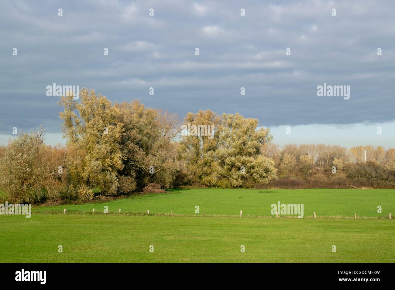 Dutch Nature scene photographed during the end of the fall Stock Photo ...