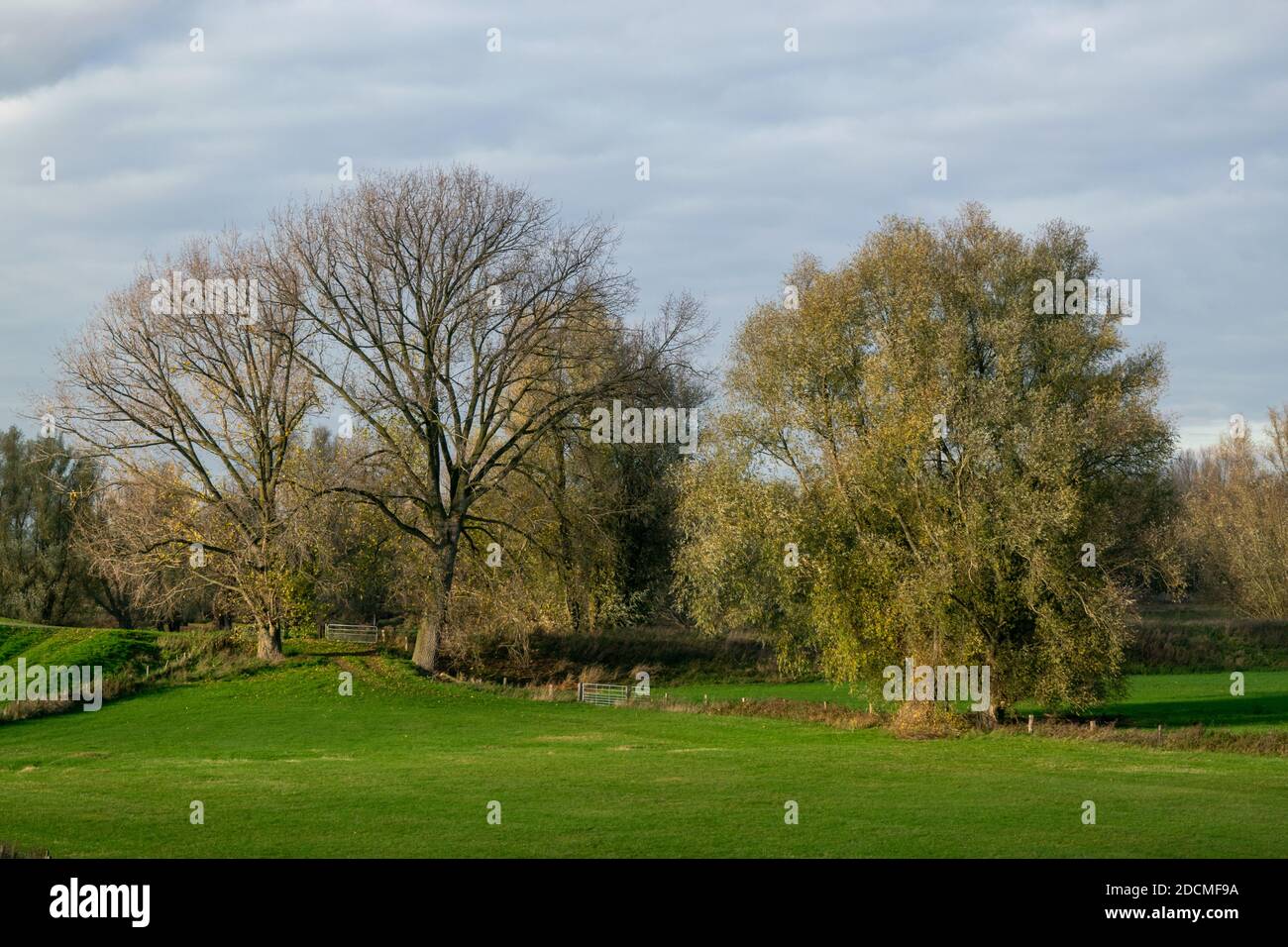Dutch Nature scene photographed during the end of the fall Stock Photo ...