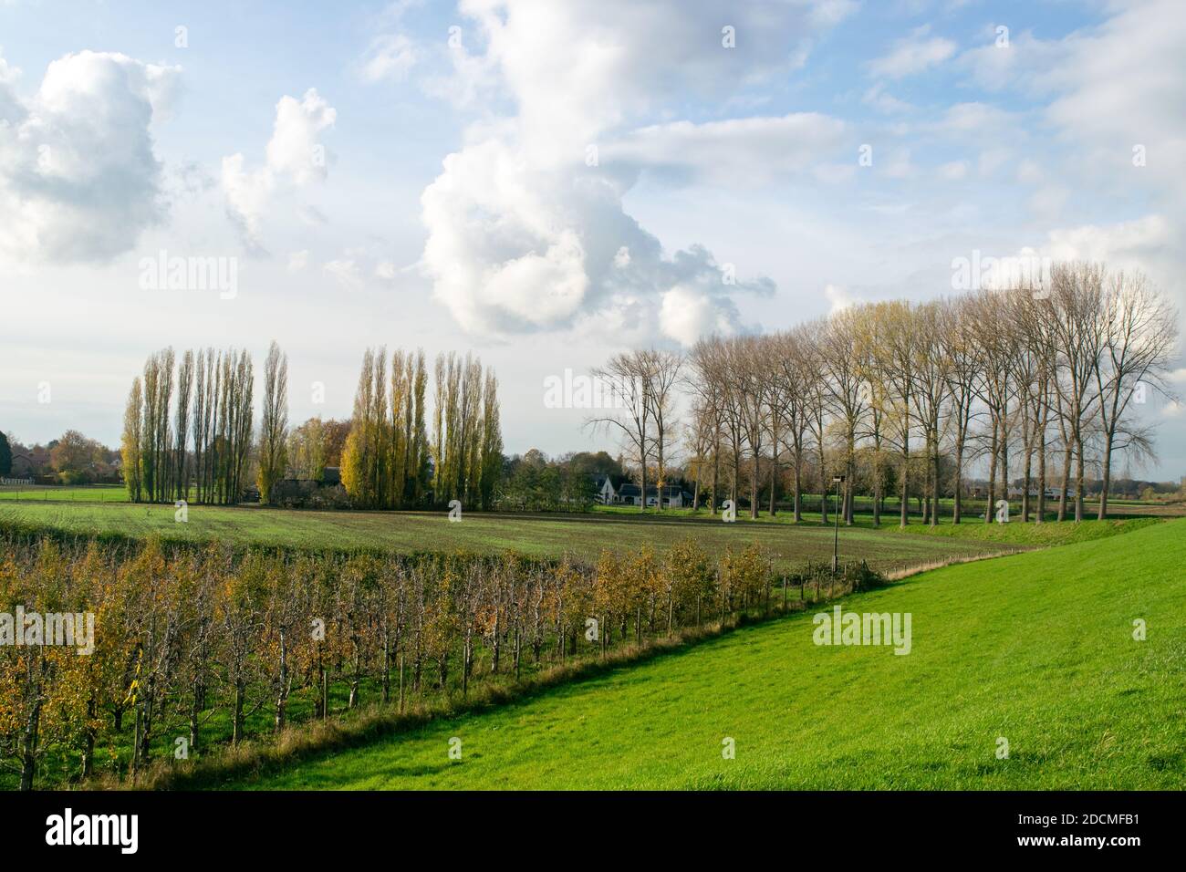 Dutch Nature scene photographed during the end of the fall Stock Photo ...