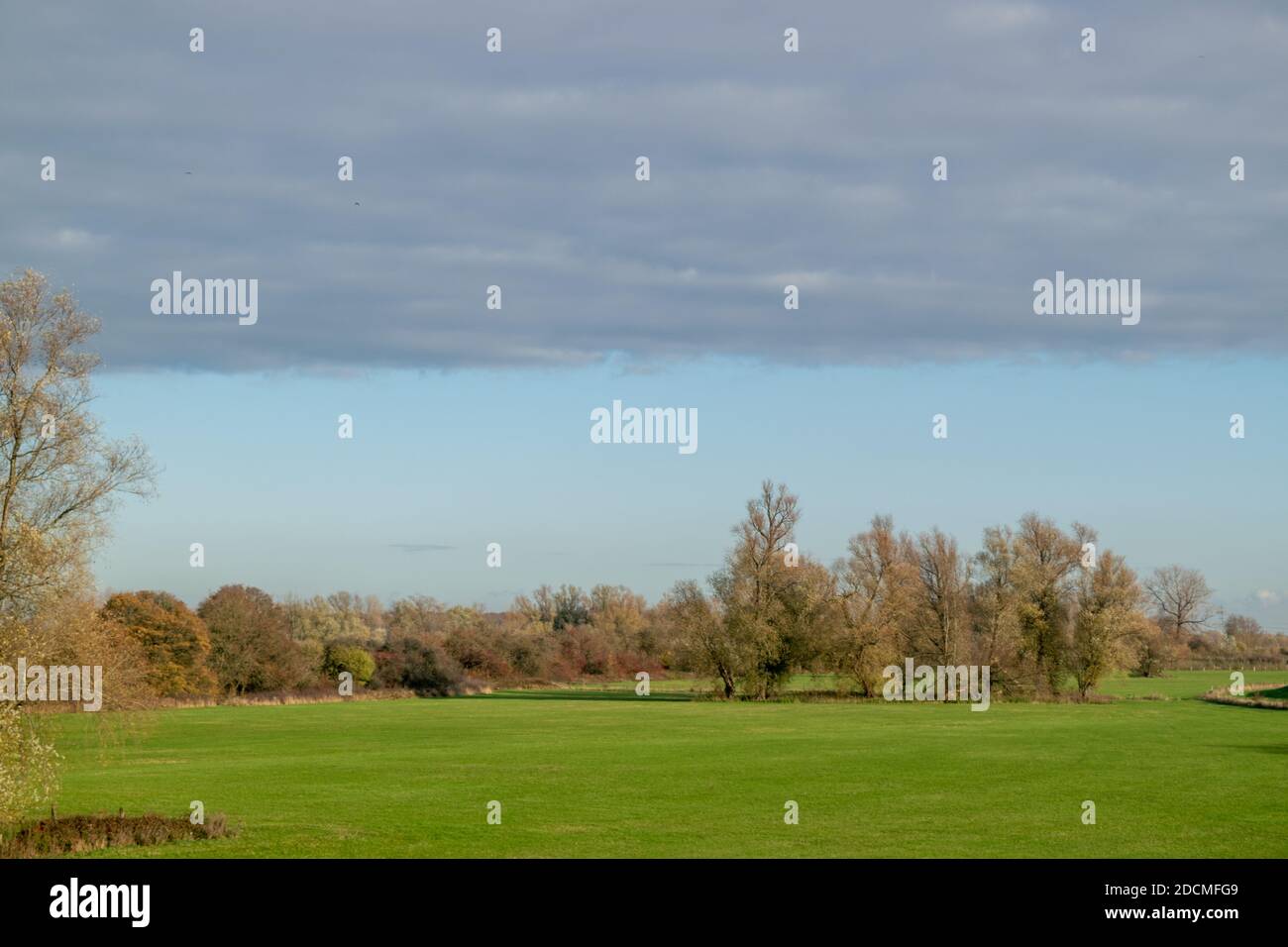 Dutch Nature scene photographed during the end of the fall Stock Photo ...