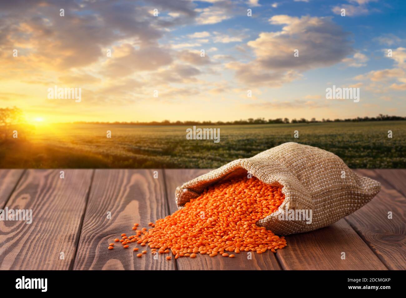 dry red lentils in burlap sack Stock Photo - Alamy