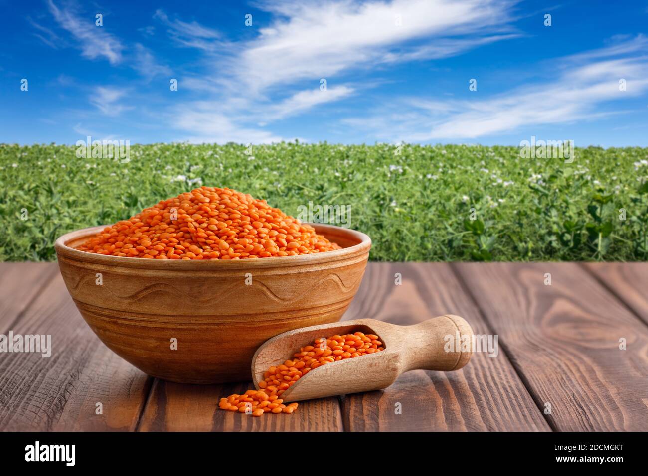 dry red lentils in ceramic bowl Stock Photo - Alamy