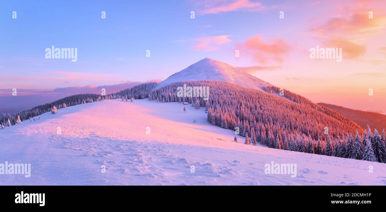 Awesome sunrise. High mountains with snow white peaks. Winter forest. A ...
