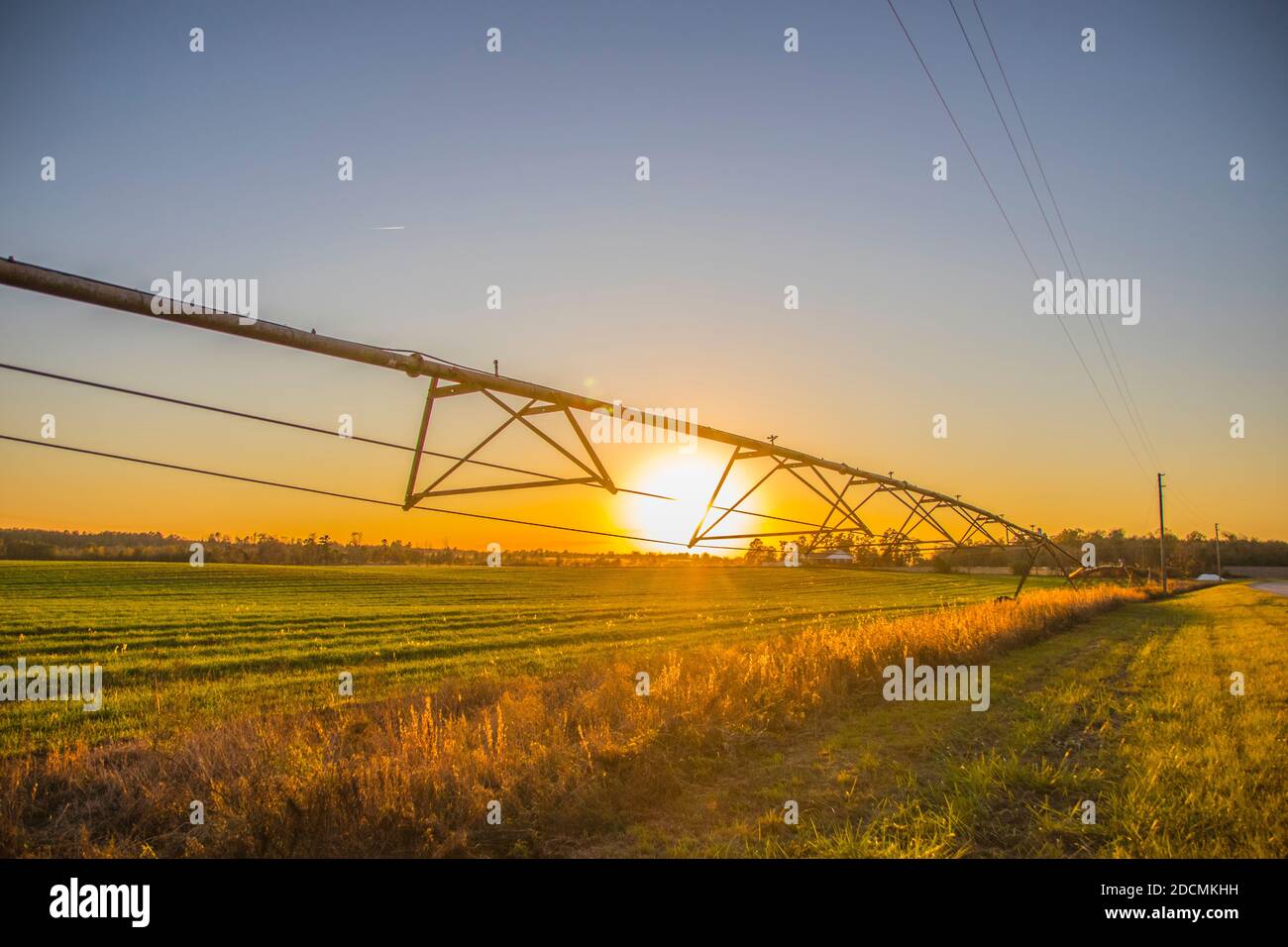 and the sun beaming Stock Photo - Alamy