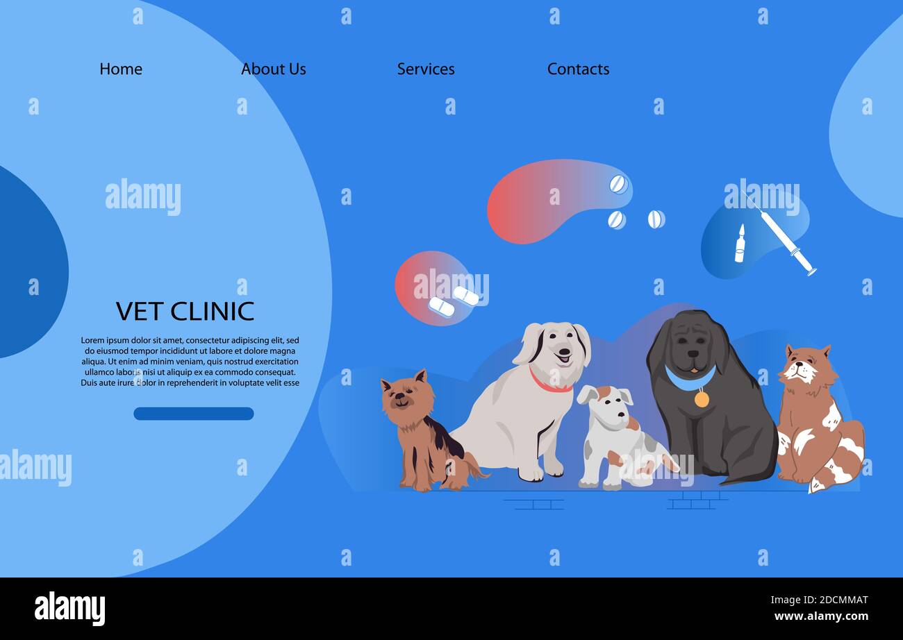 Veterinary clinic website banner with pets flat vector illustration ...