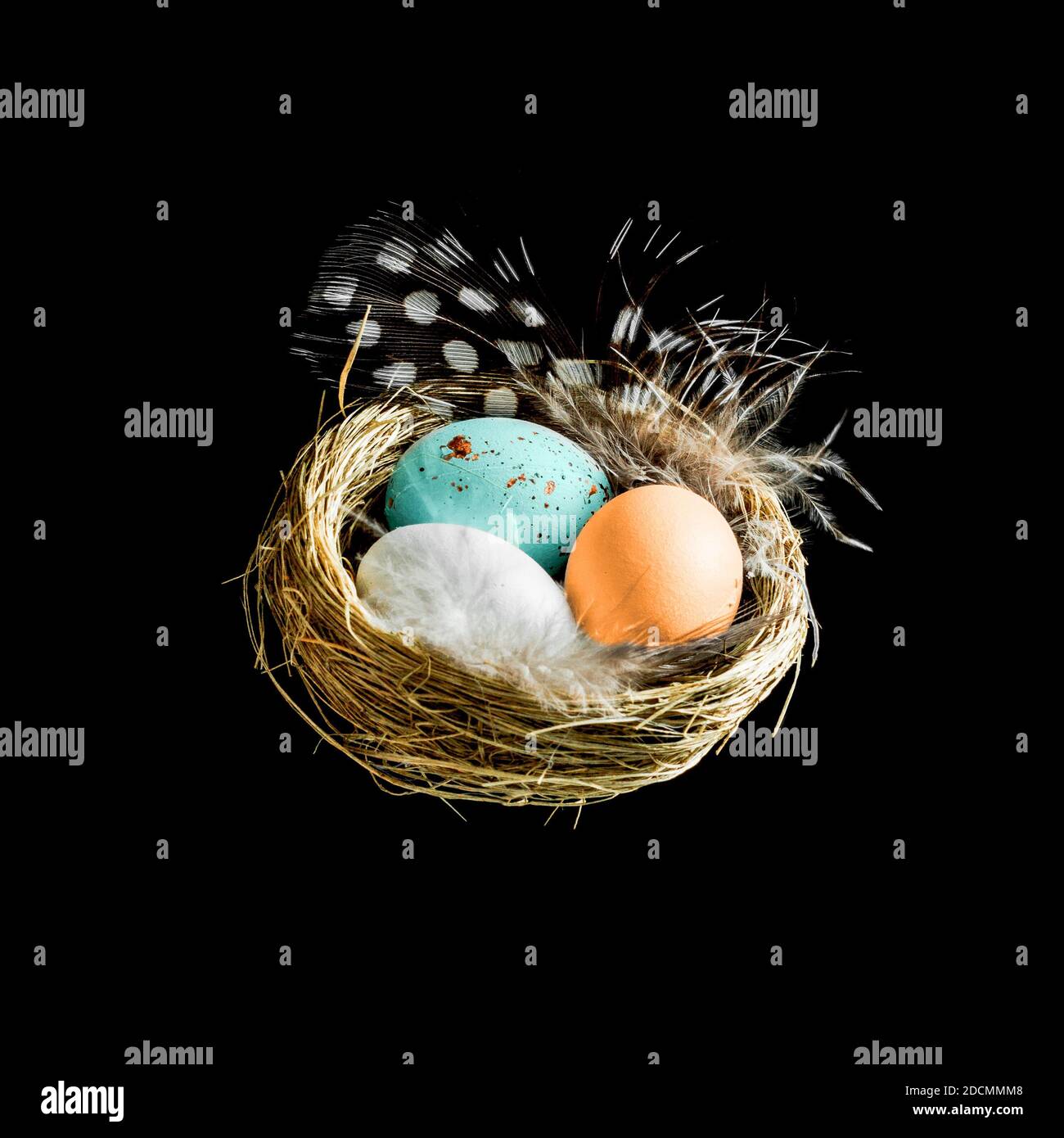 Easter eggs nest isolated on a black background. White, orange, and ...