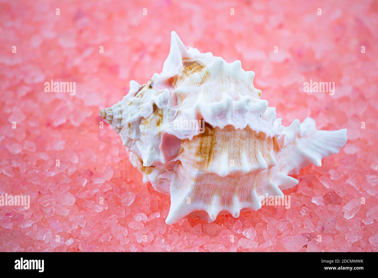 Aquarium microscope hi-res stock photography and images - Alamy