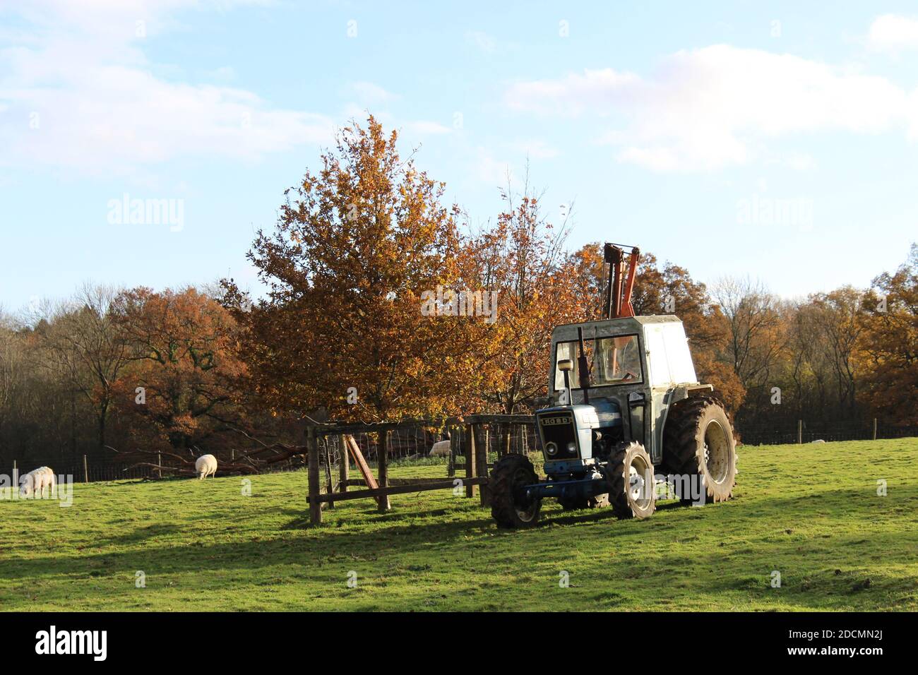 Old tractor orange tractor countryside hi-res stock photography and ...
