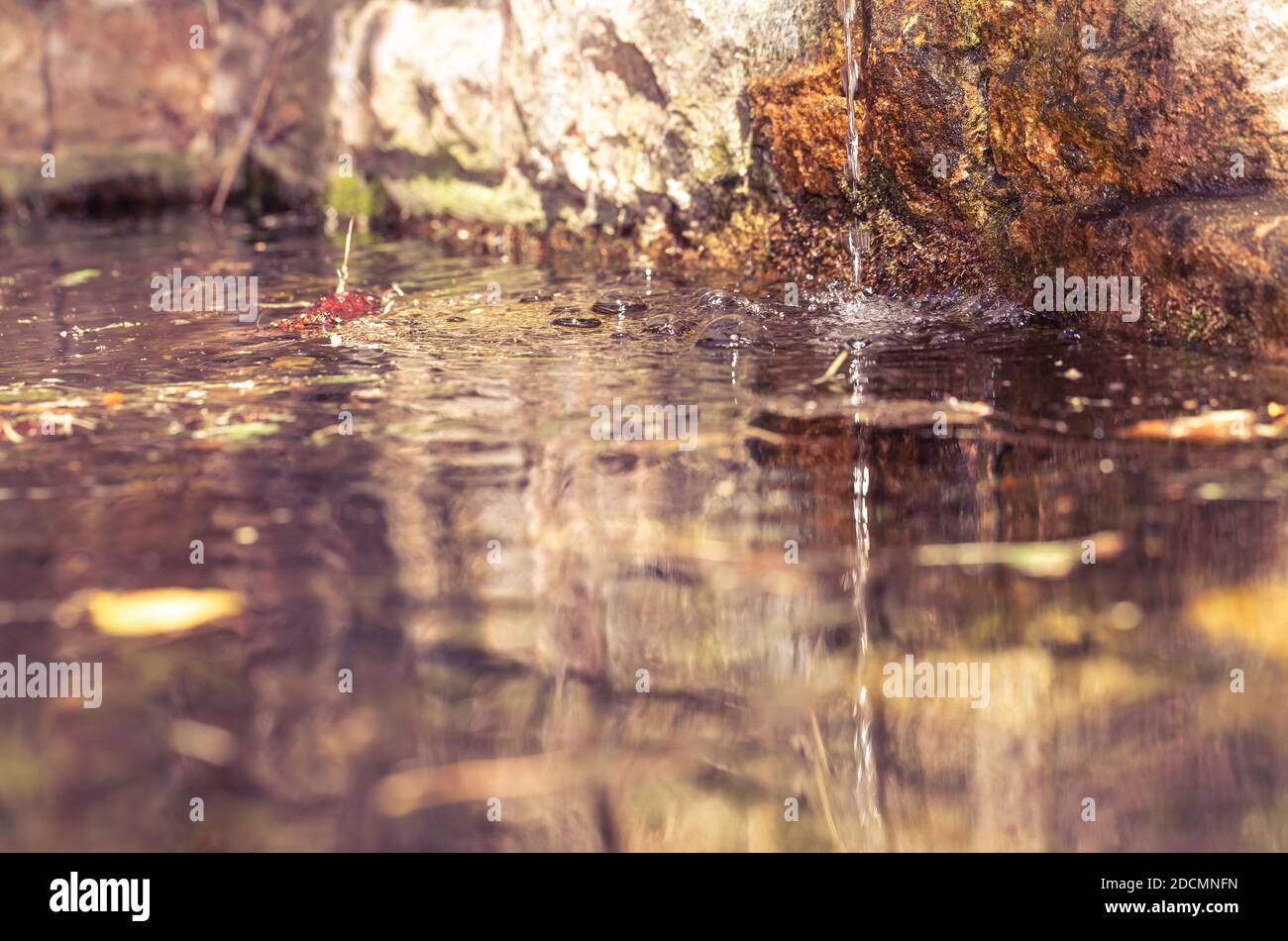 Public Fountain In The Park. Water Reflection. Fresh Water Stock Photo ...