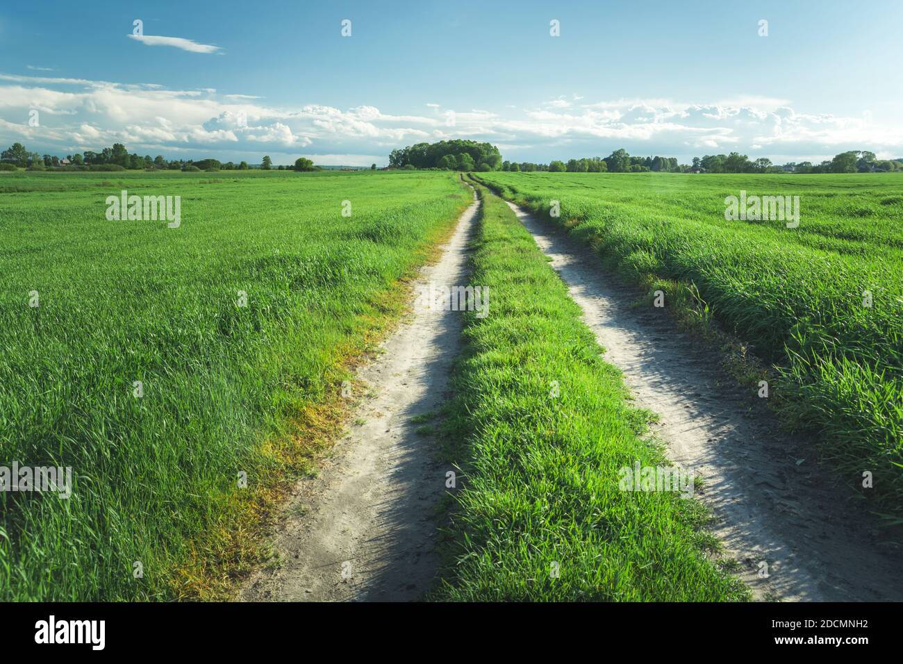 Rural road in the middle of a green field Stock Photo - Alamy