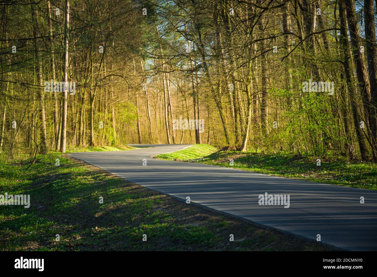 Winding road through forest hi-res stock photography and images - Alamy