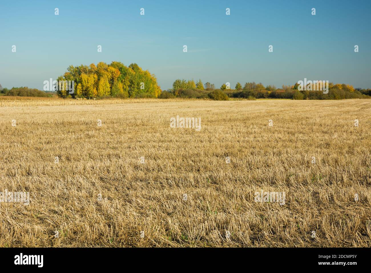 Colours on the horizon hi-res stock photography and images - Alamy