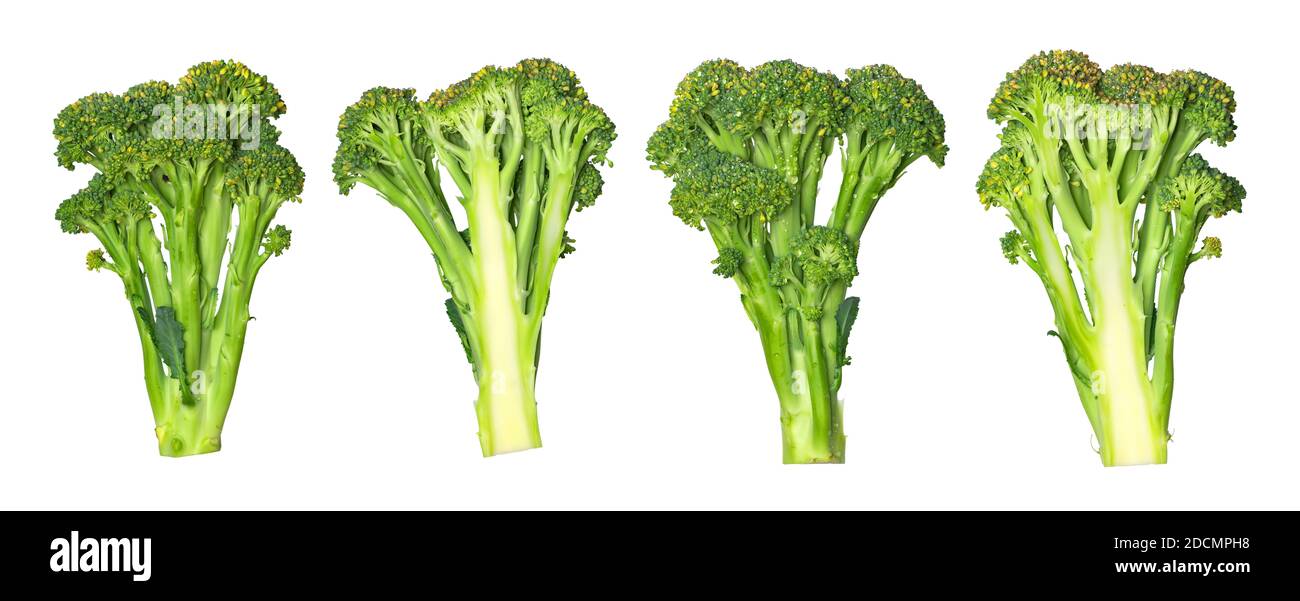 Set of fresh broccoli isolated on white background Stock Photo - Alamy