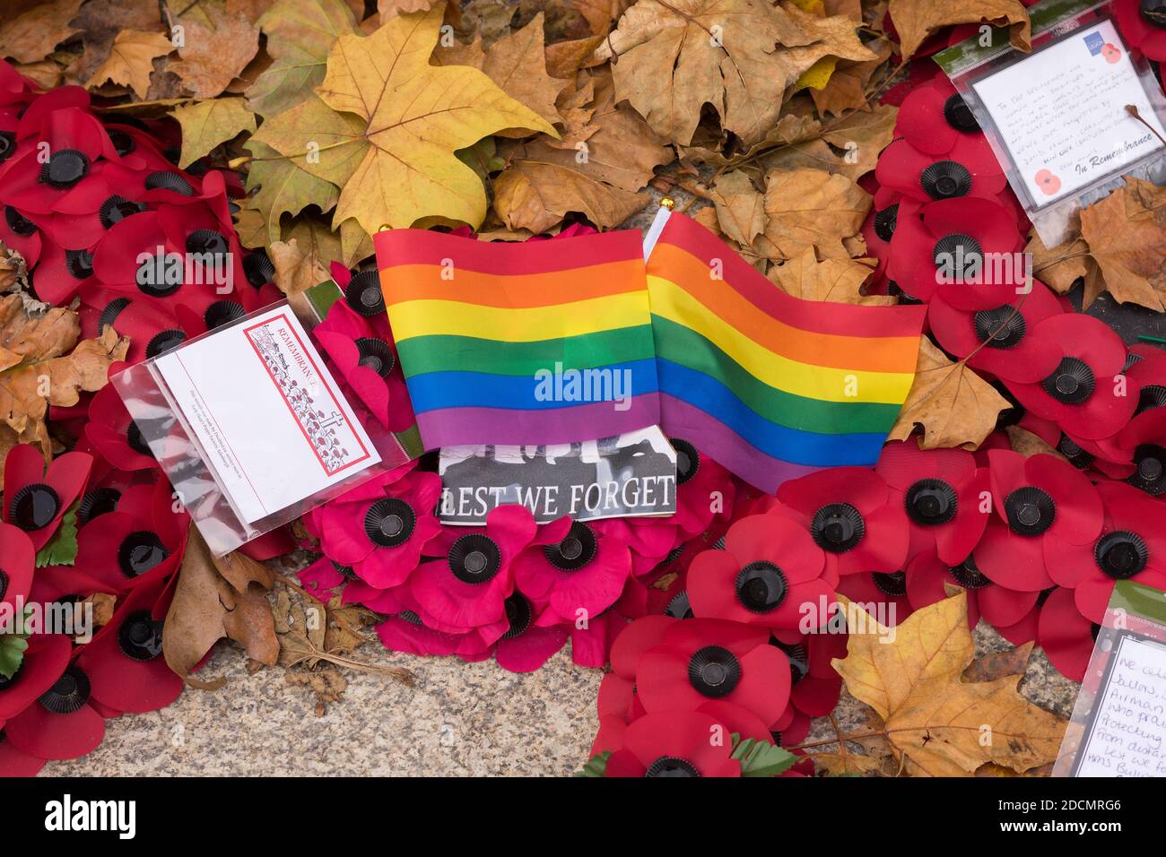 Poppy wreaths covered in fallen leafs and a pride rainbow flag at the ...