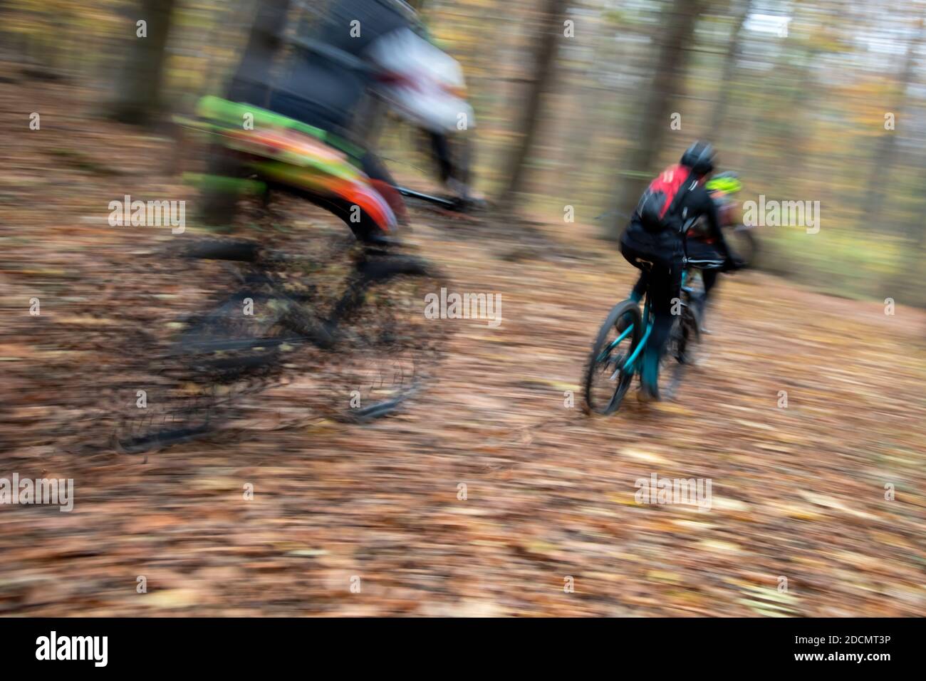 Mountain biker in the forest hi-res stock photography and images - Alamy
