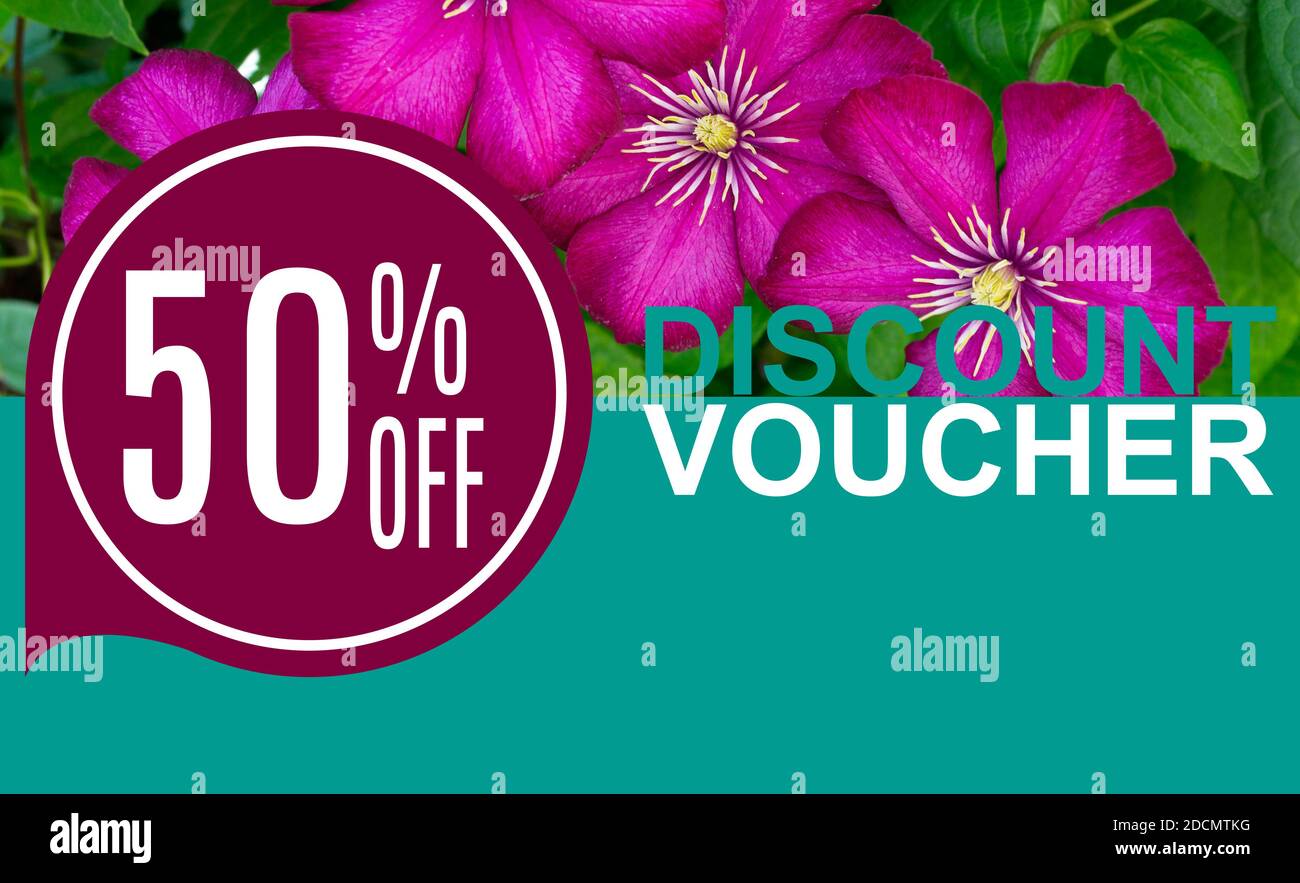Discount Voucher Template Rastr Illustration for Your Business Stock ...