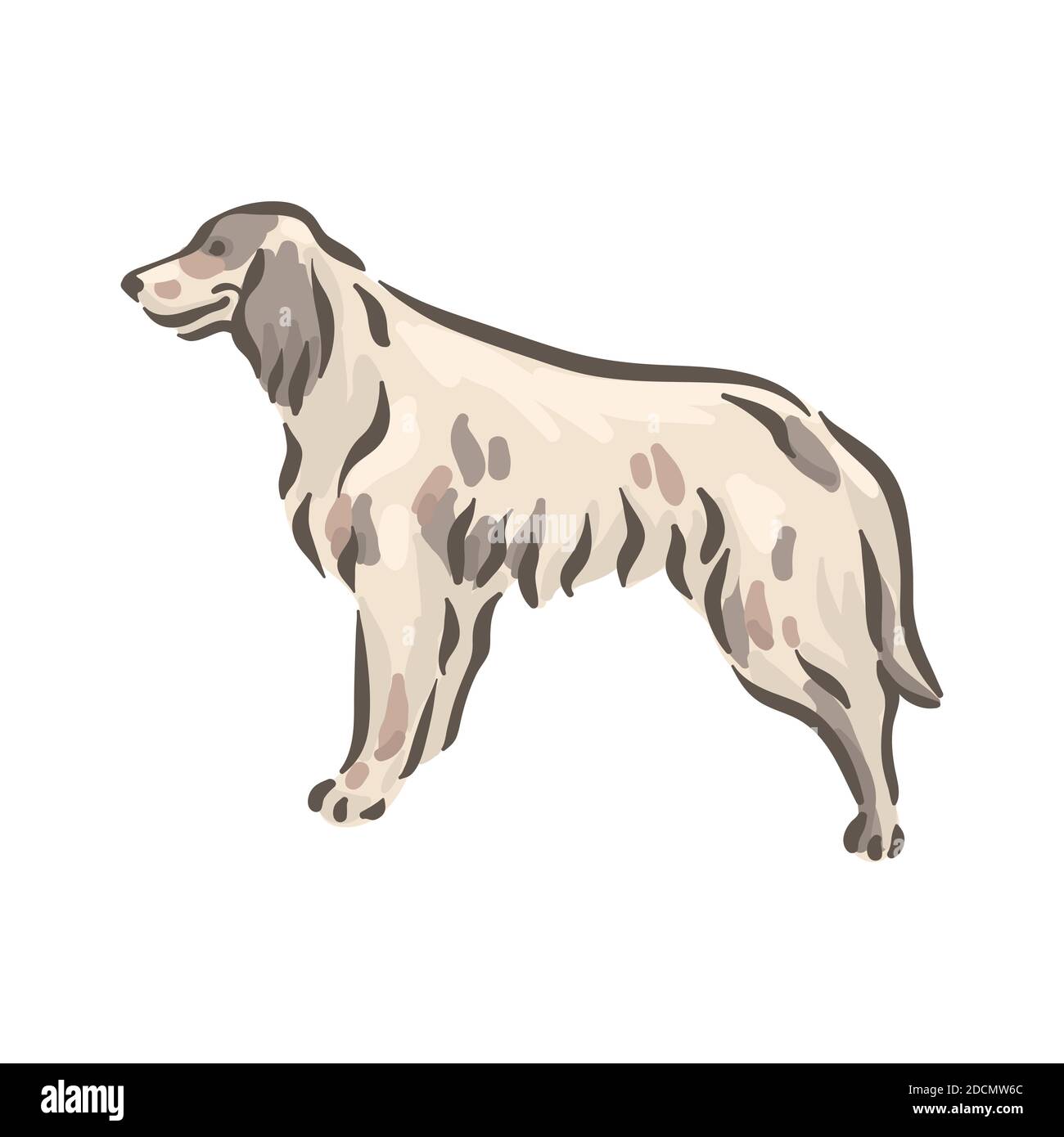English setter Cut Out Stock Images & Pictures - Alamy