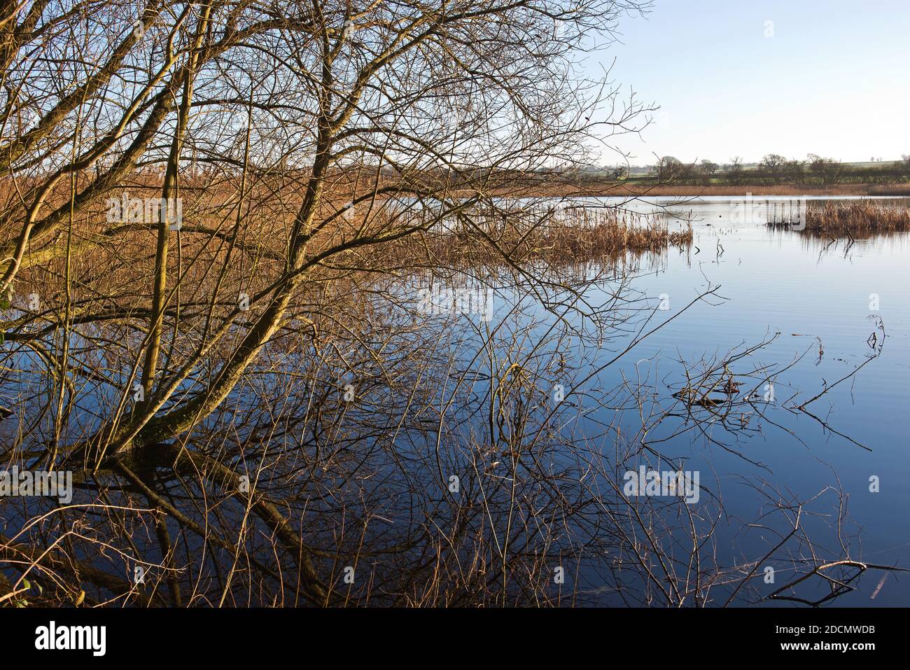 Shapwick drove hi-res stock photography and images - Alamy