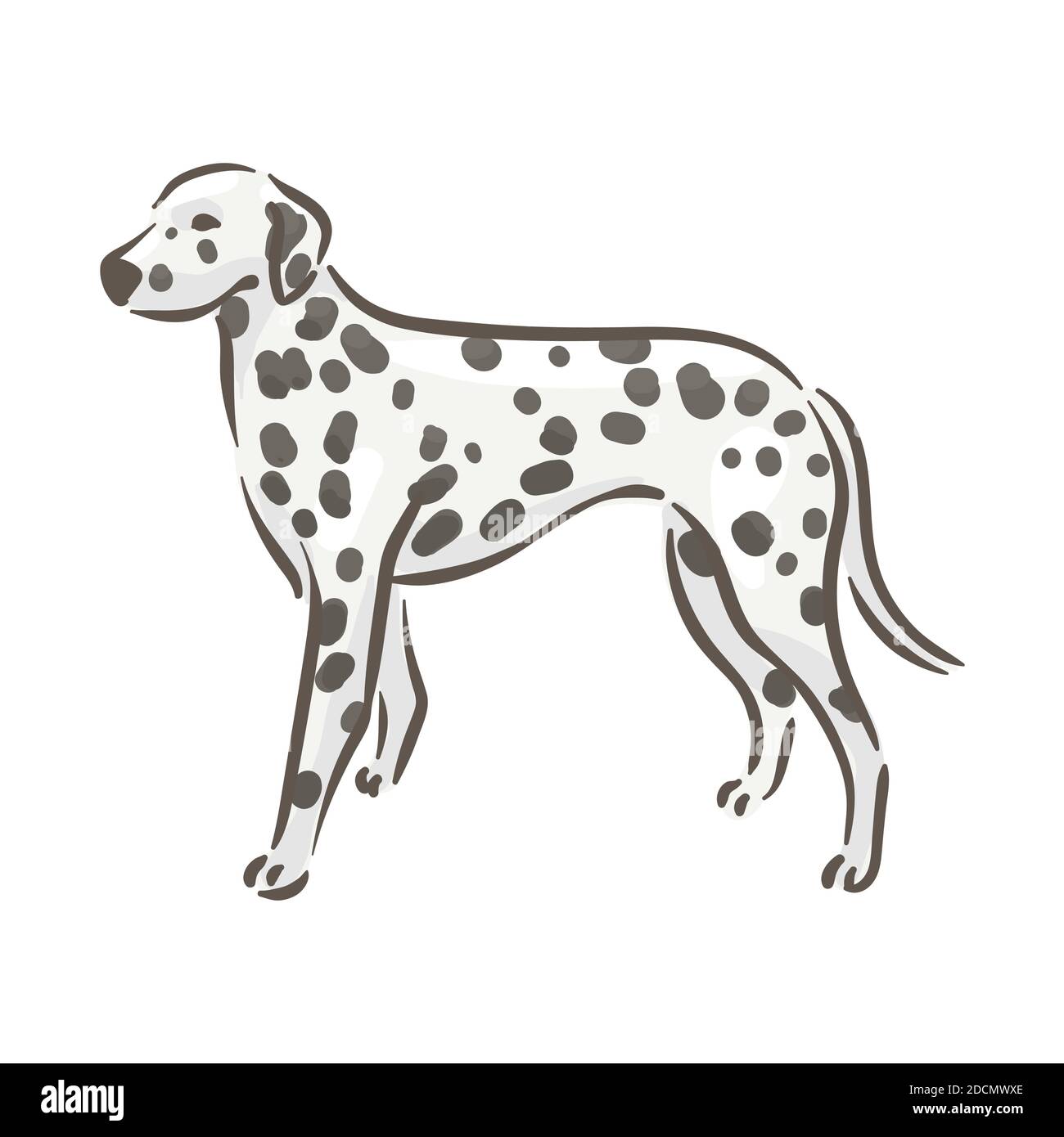 Cute dog Dalmatinac breed pedigree vector illustration Stock Vector ...