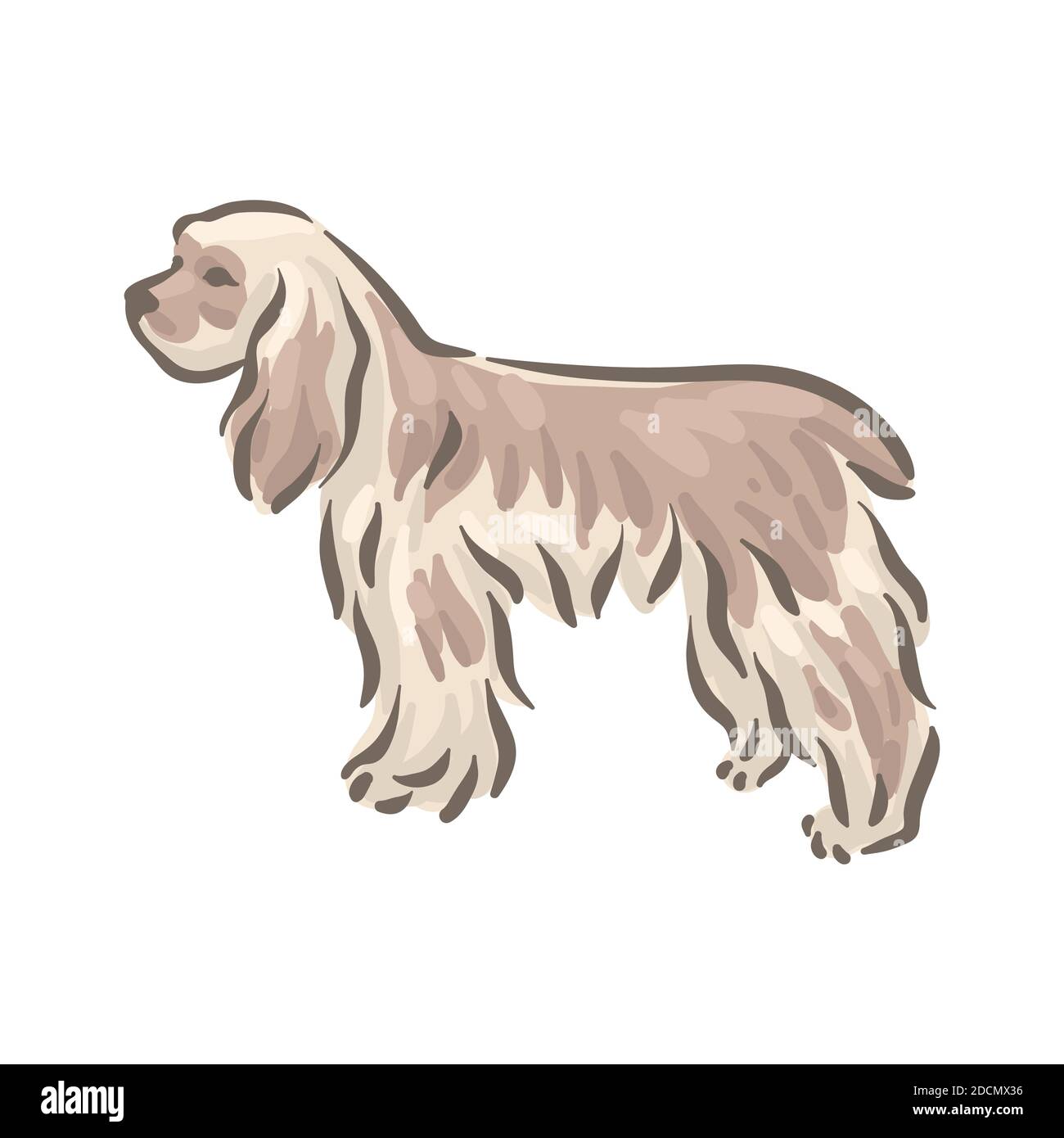 Cute dog Cocker-spaniel breed pedigree vector illustration Stock Vector ...