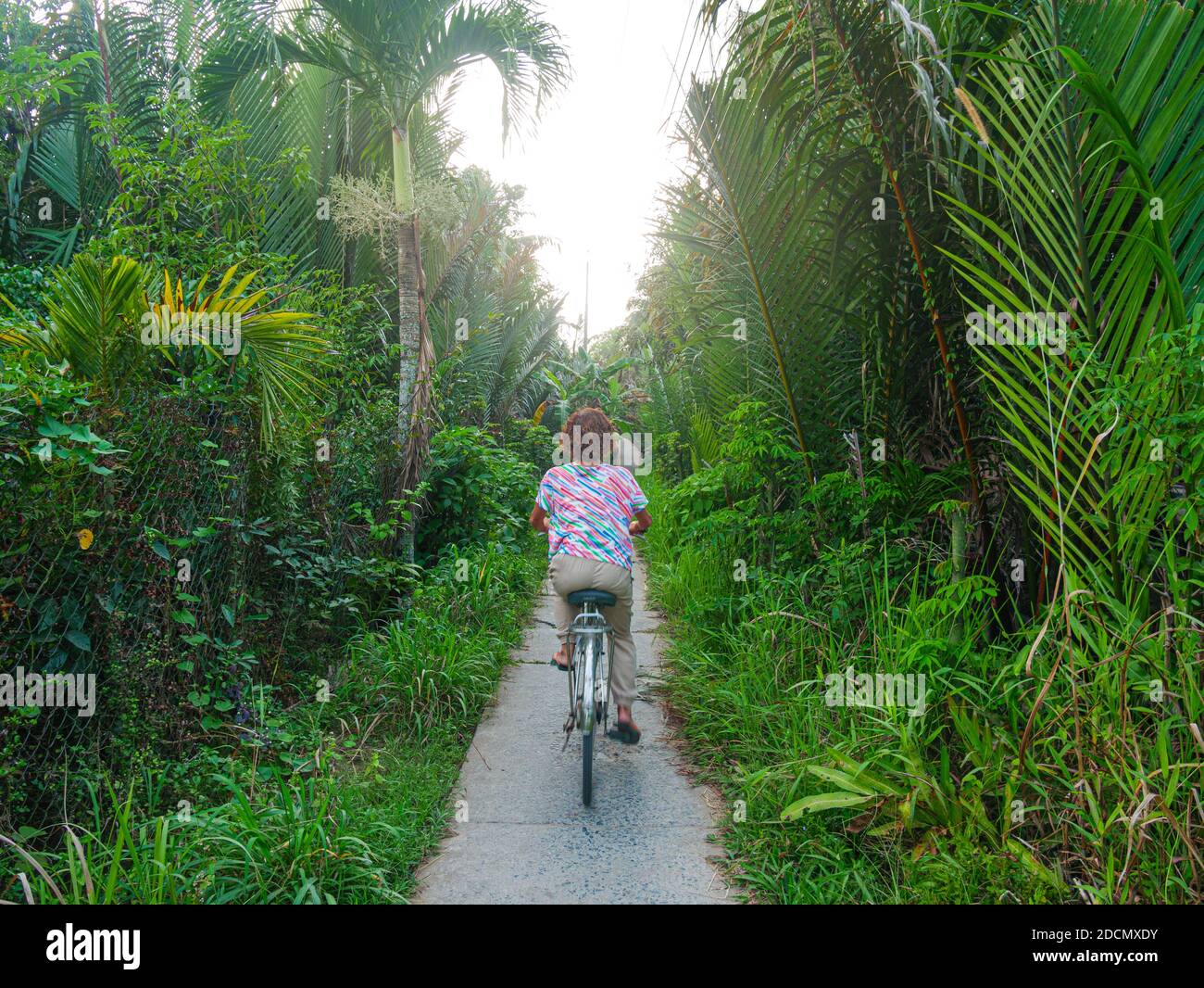 One person riding bicycle in the Mekong Delta region, Ben Tre, South ...