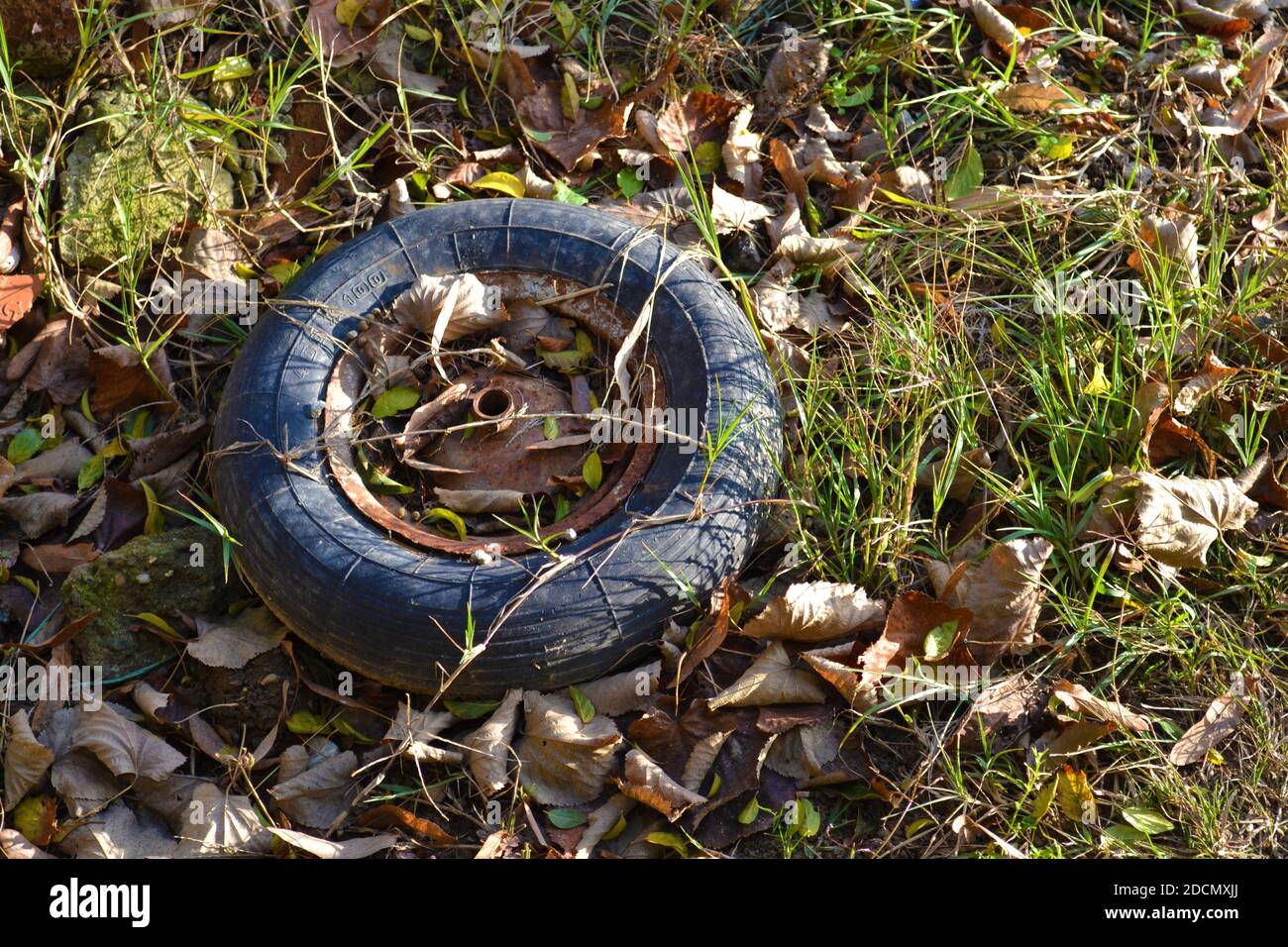 Old tire on autumn hi-res stock photography and images - Alamy