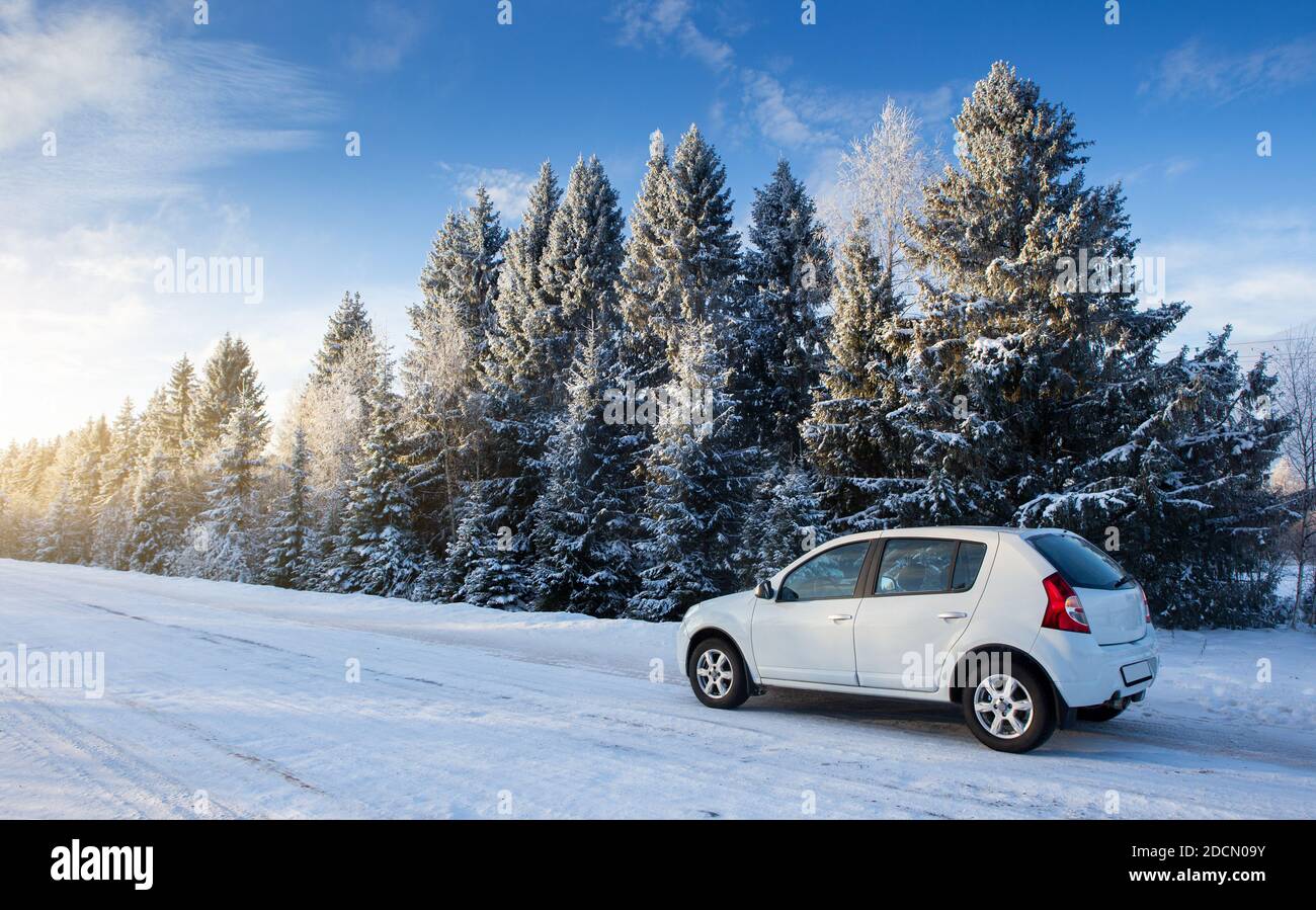 Driving car through forest hi-res stock photography and images - Alamy