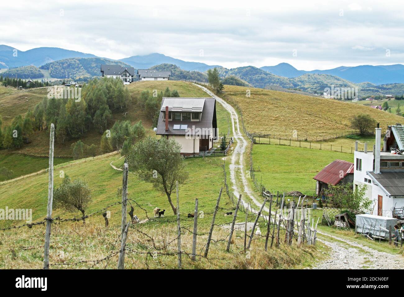 Road up the mountain in Sirnea, Brasov County, Romania Stock Photo - Alamy