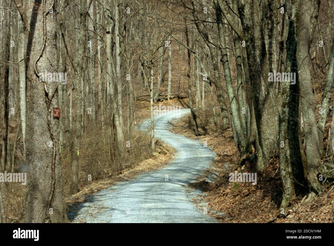 Gravel road up the mountain in the Blue Ridge Mountains, VA, USA Stock ...