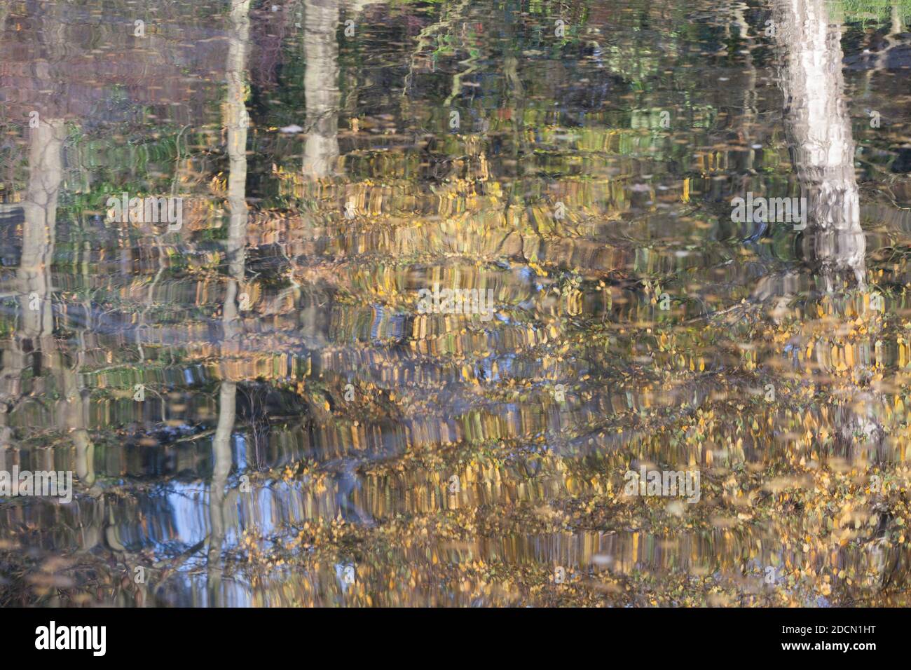 Japanese announcements hi-res stock photography and images - Alamy