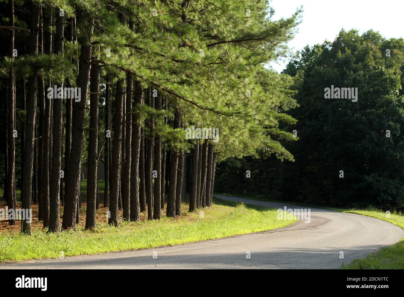 Unmarked road hi-res stock photography and images - Alamy