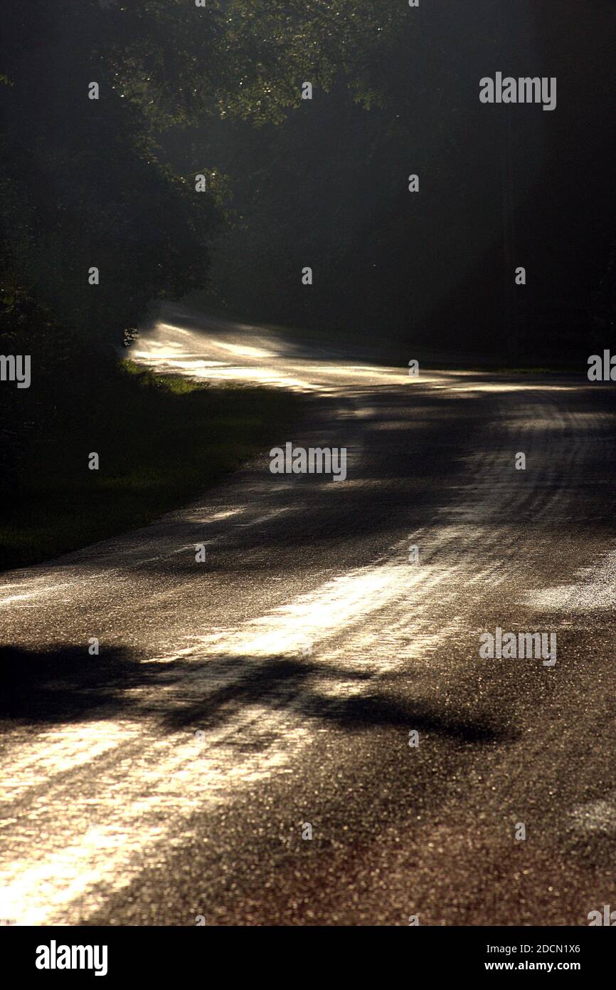 Unmarked country road through the woods in Virginia, USA Stock Photo ...